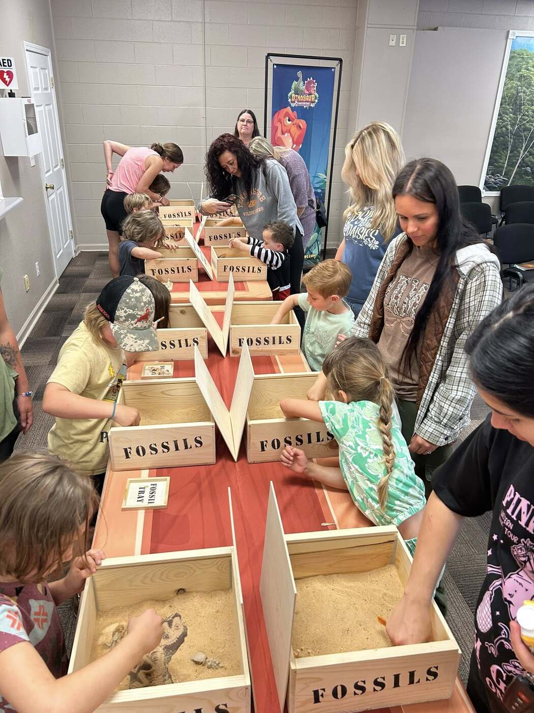 Dinosaur Program Package