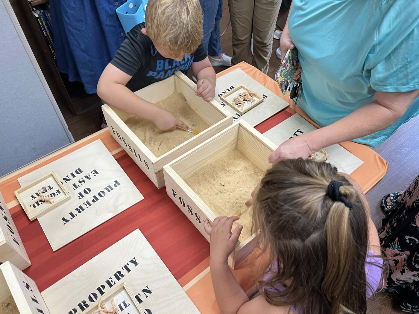 Dinosaur Program Package